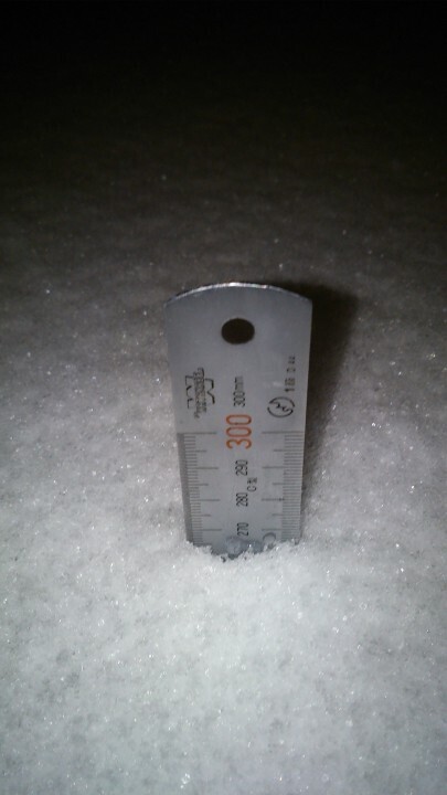 先週よりタチが悪いかも（雪）: BWT Lab.